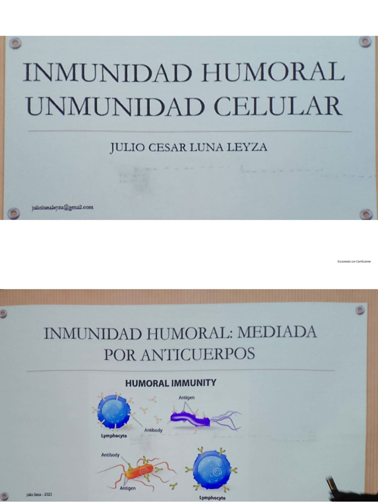 Inmunidad Humoral y Celular Micro | PDF