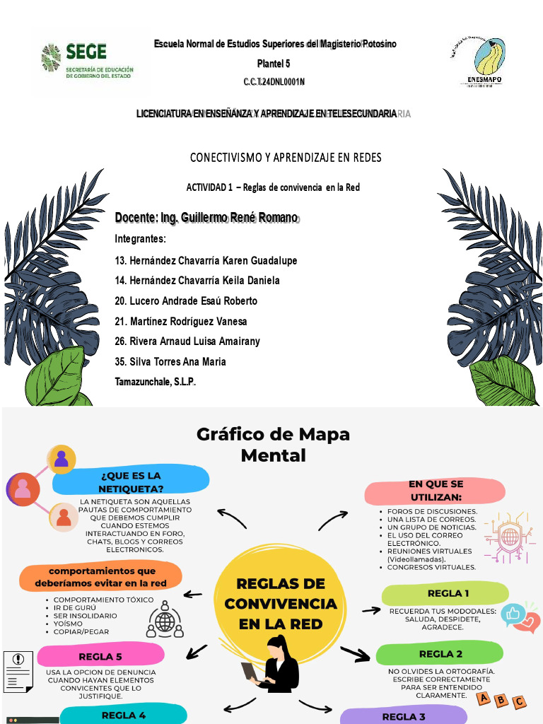 Actividad 1 Reglas de Convivencia en La Red | PDF