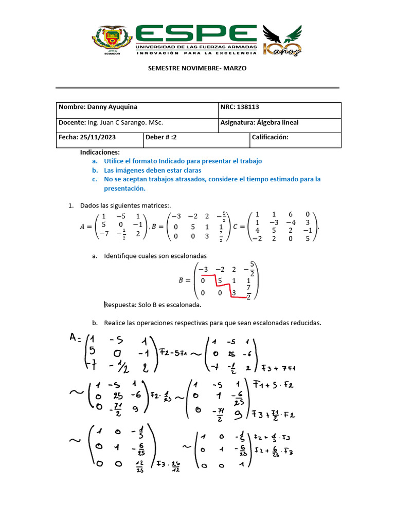 Álgebra Lineal: Matrices y Determinantes | PDF | Matriz (Matemáticas ...