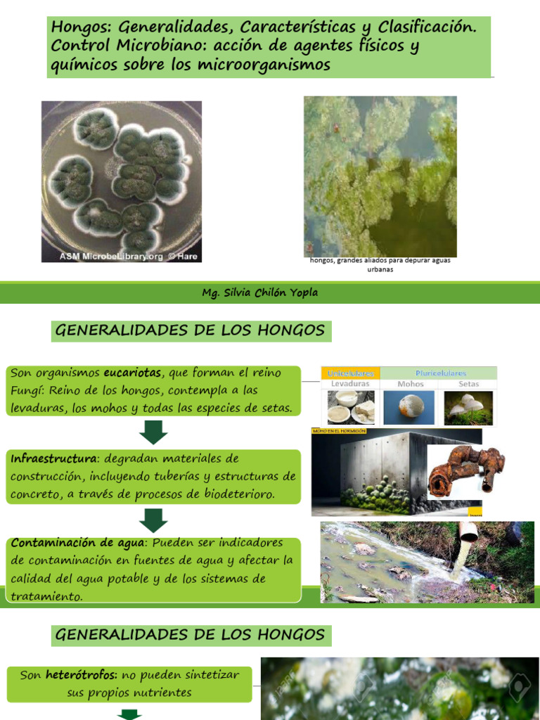 4 Hongos y Control Microbiano | PDF | Hongo | Esterilización ...