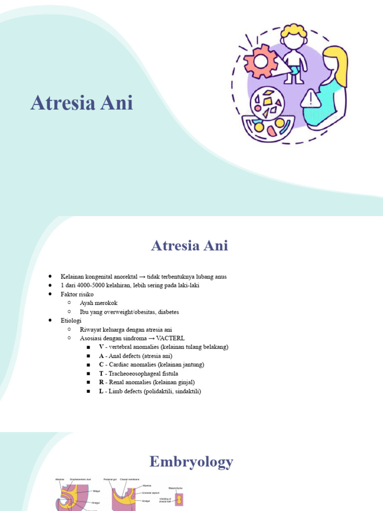 Atresia Ani | PDF | Rectum | Gastroenterology