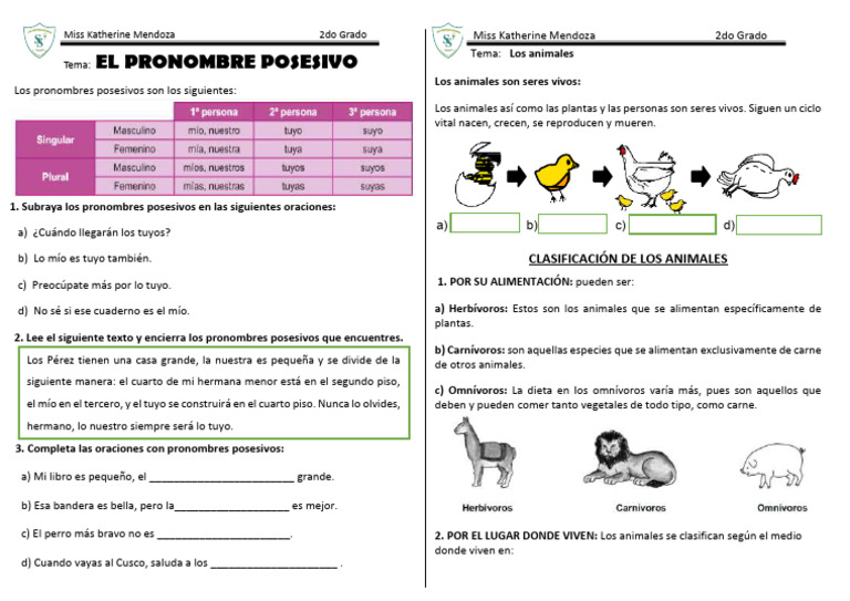 Pronombres Posesivos y Animales | PDF | Zoología | Organismos