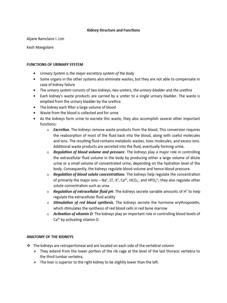 Kidney Structure and Functions Anaphy | PDF | Kidney | Urinary System