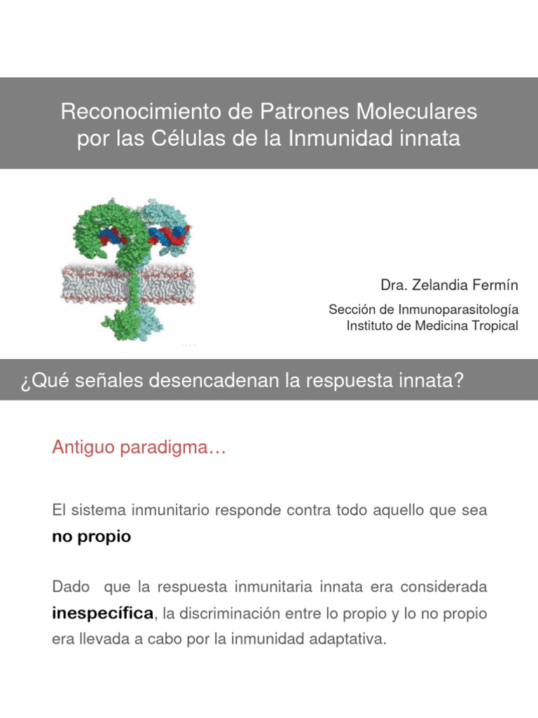 Receptores para El Reconocimiento de Patrones 2024 | PDF | Receptor de peaje | Sistema inmune innato