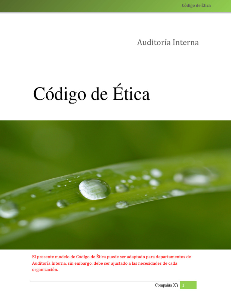 Código de Ética Del Auditor Interno | PDF | Auditoría | Contralor