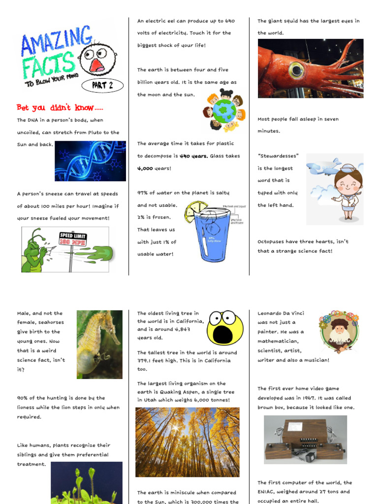 Pamphlet Grade 5-6 (Amazing Facts pt.2) | PDF | Planets | Sun