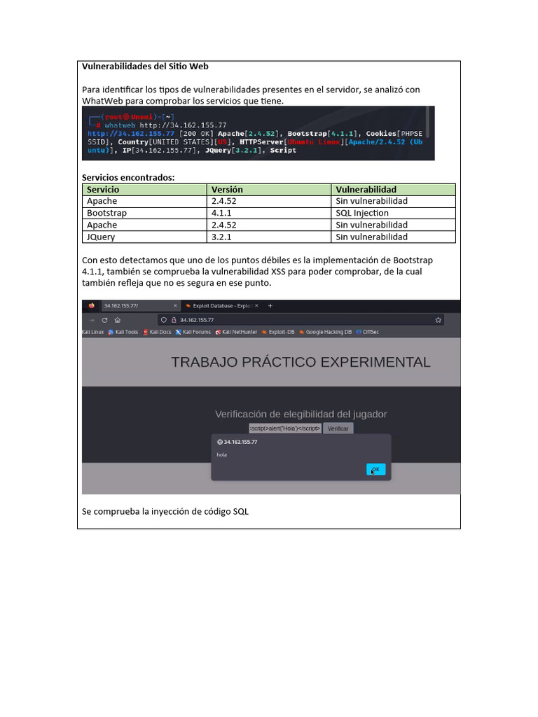 Vulnerabilidades Del Sitio Web | PDF | sistema de nombres de dominio | Servidor HTTP Apache