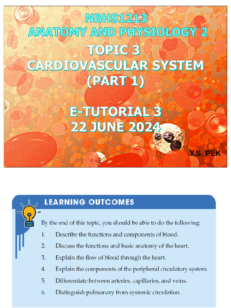 Et 3 Topic 3 CVS (Part 1) 23.6.2024 | PDF | Blood | Red Blood Cell