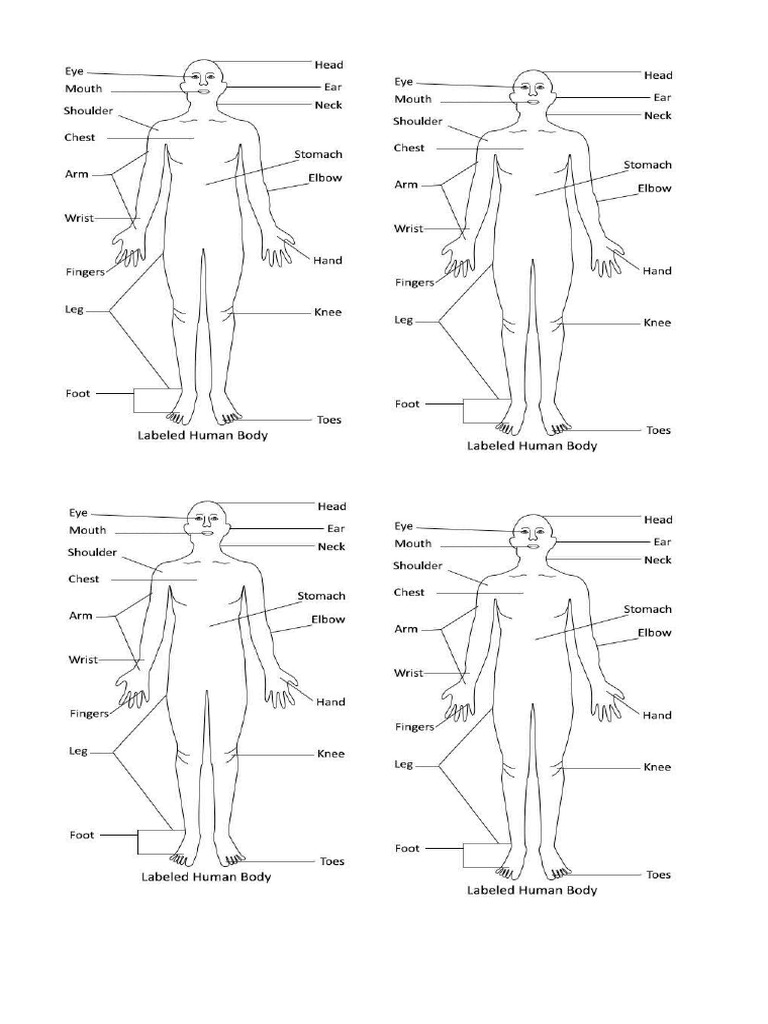 Body Part Sick | PDF