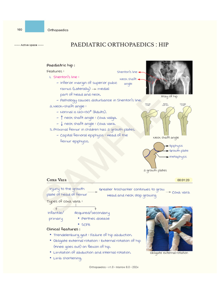 Orthopaedics Sample | PDF | Hip | Musculoskeletal Disorders