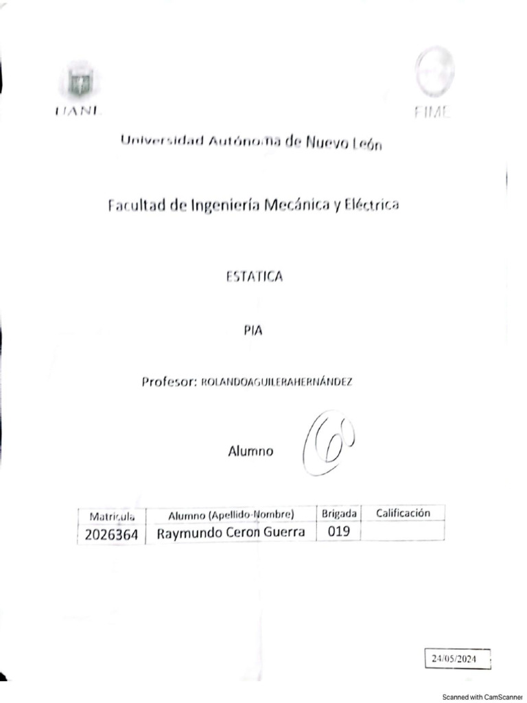 PIA- individual- ESTATICA | PDF