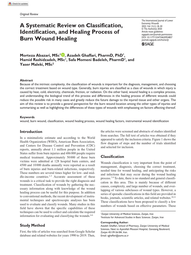 Systematic Review of Burn Wound Classification | PDF | Wound Healing ...