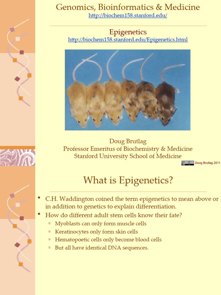 epigenetics introduction | PDF | Epigenetics | Dna Methylation