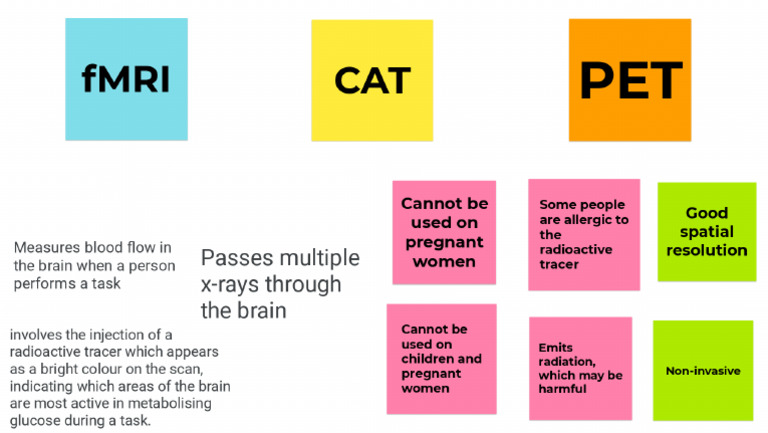 Activity - Card Sort Brain Scanning | PDF
