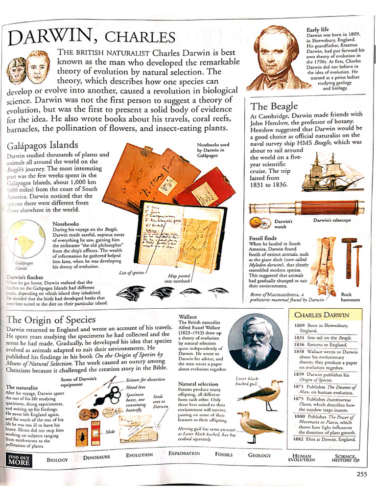 Darwin Charles | PDF