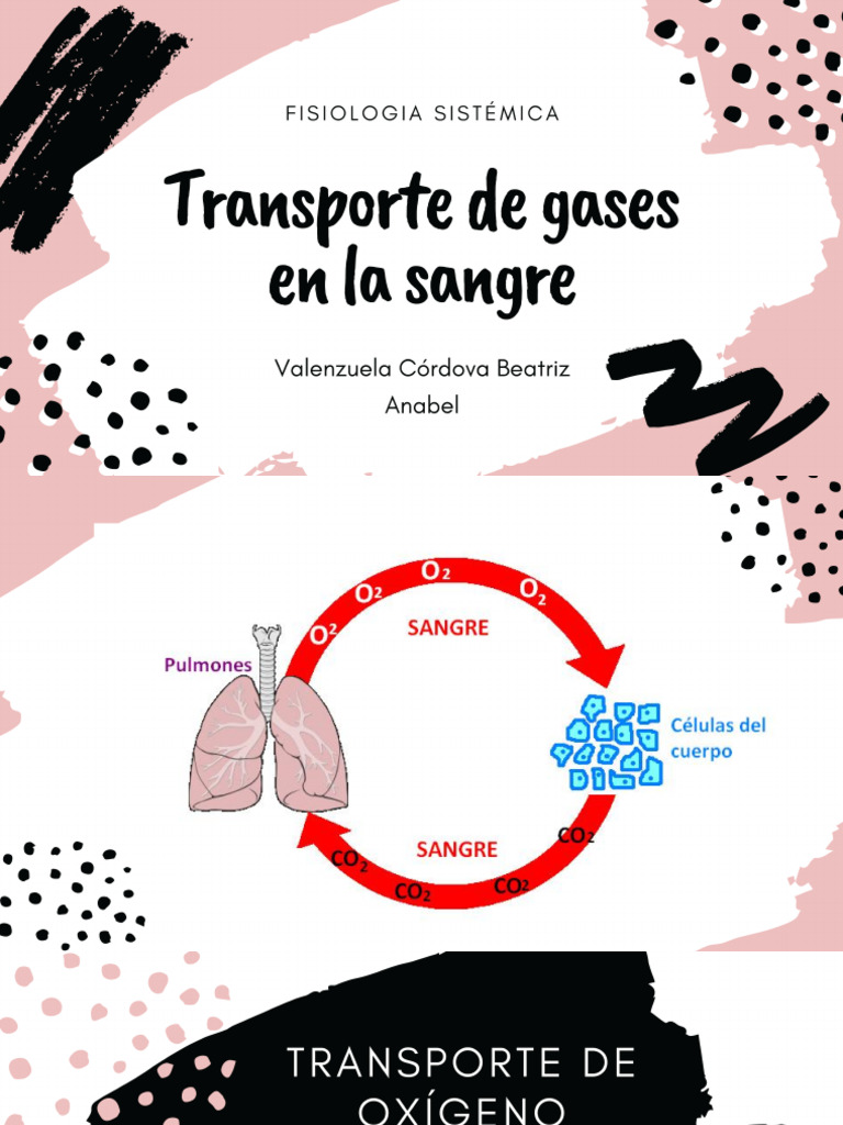 TRANSPORTE DE GAses en la sangre presentacion.pdf | PDF