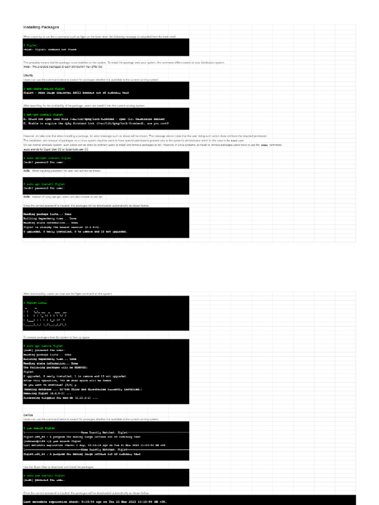 LPI - Essential Lab Guide - Google Sheets | PDF