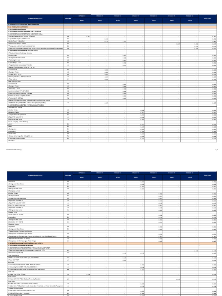 Actionplan FOP | PDF