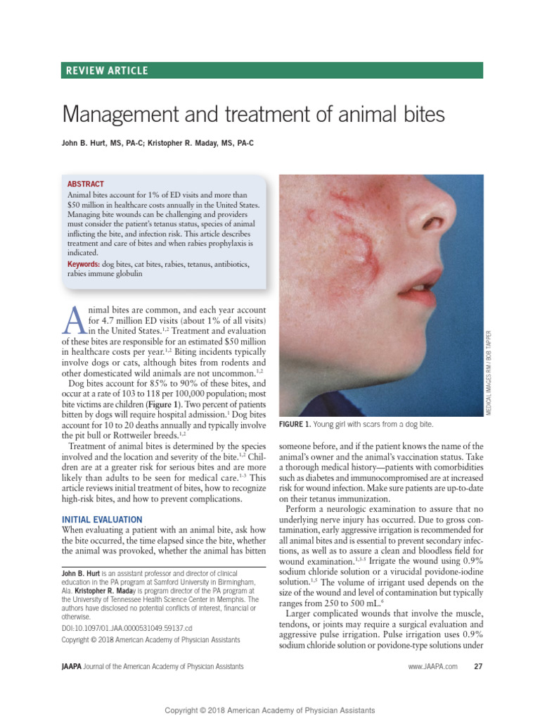 Management and Treatment of Animal Bites.6 | PDF | Rabies | Wound