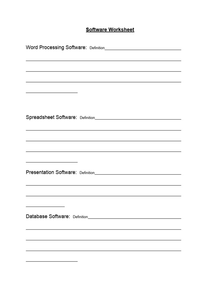Computer Software Worksheet | PDF