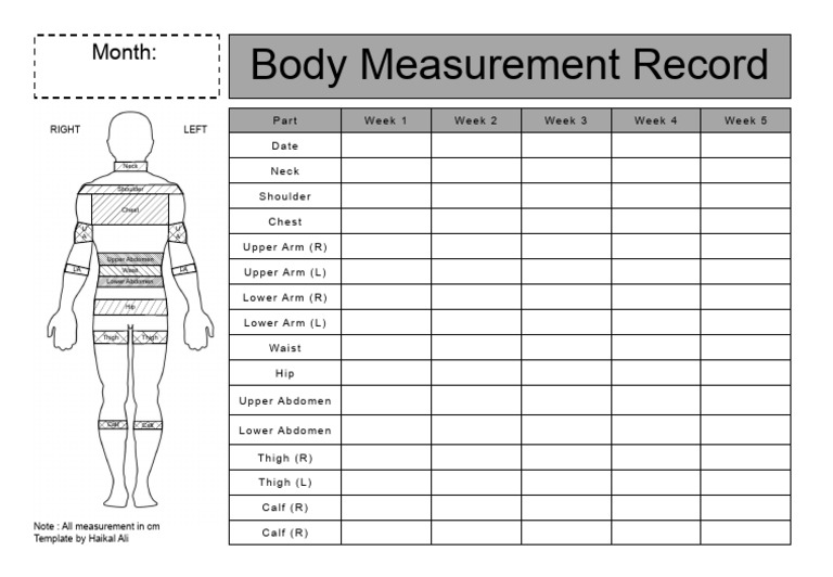 Body Measurement Record | PDF