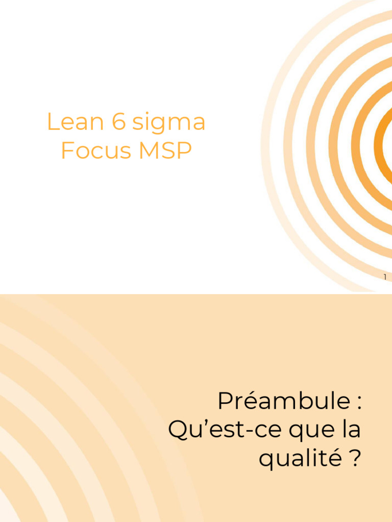 Indus I4.7 - Lean - Amphi Focus MSP | PDF | Management de la qualité ...