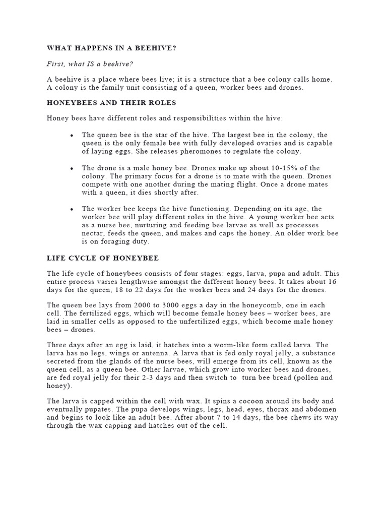 Life Cycle of a Honey Bee | PDF