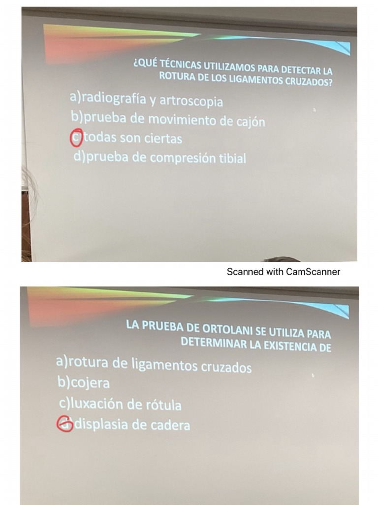 Prope Preguntas | PDF