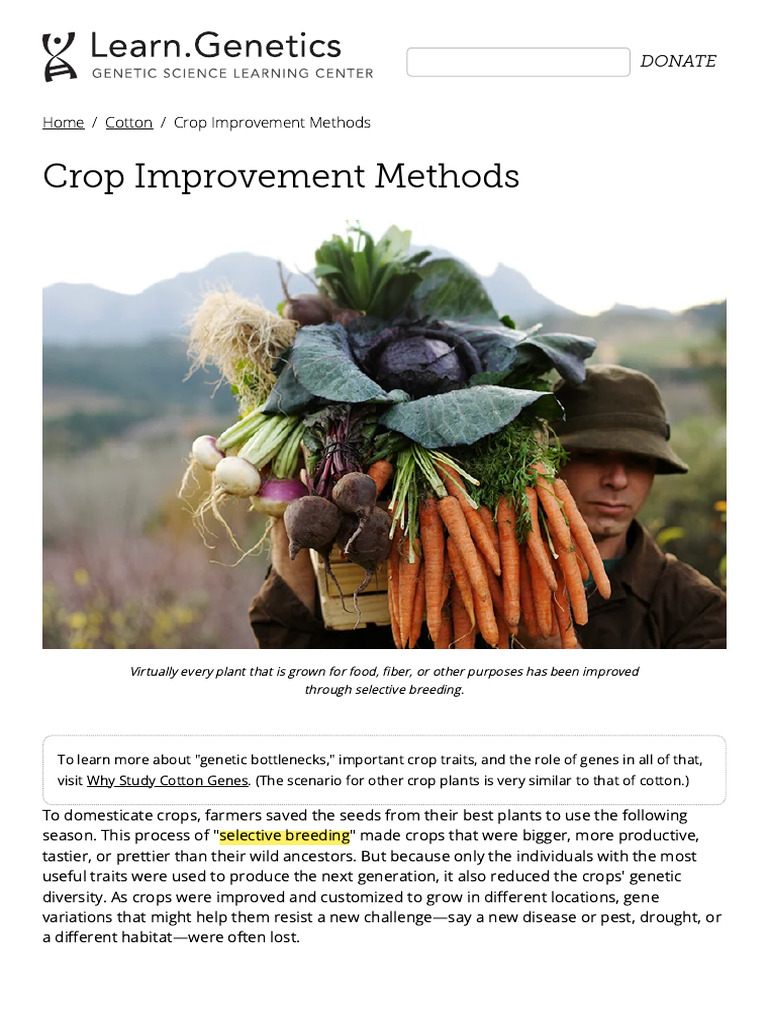 Crop Improvement Methods | PDF | Plant Breeding | Gene