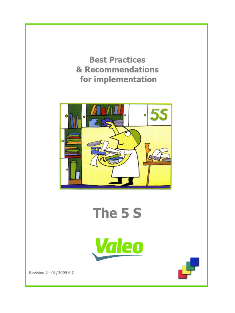 5S Best Practice - Valeo | PDF | Audit | Business