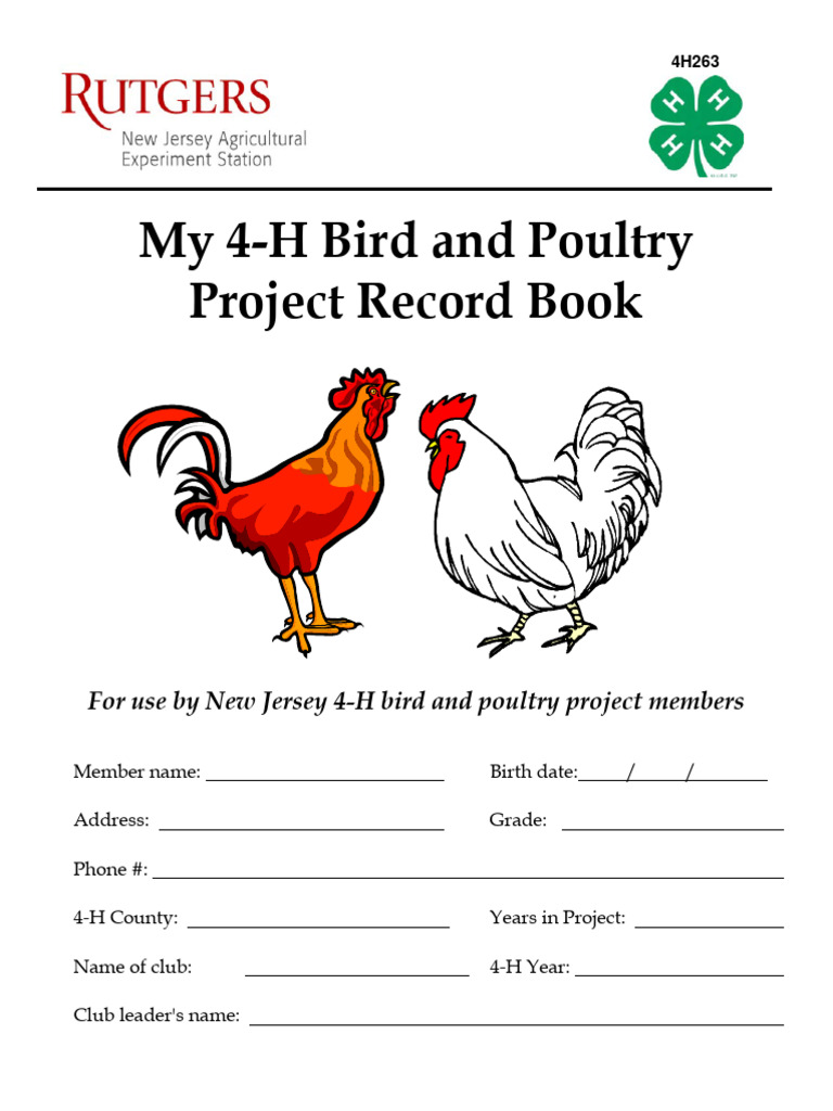 4-H Poultry Project Record Book | PDF | Poultry Farming | Chicken