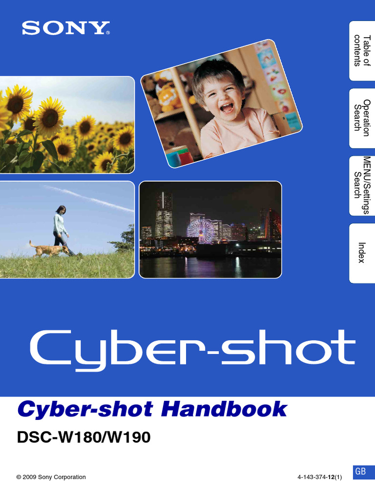 Cyber-Shot Handbook: DSC-W180/W190 | PDF | Usb Flash Drive | Camera