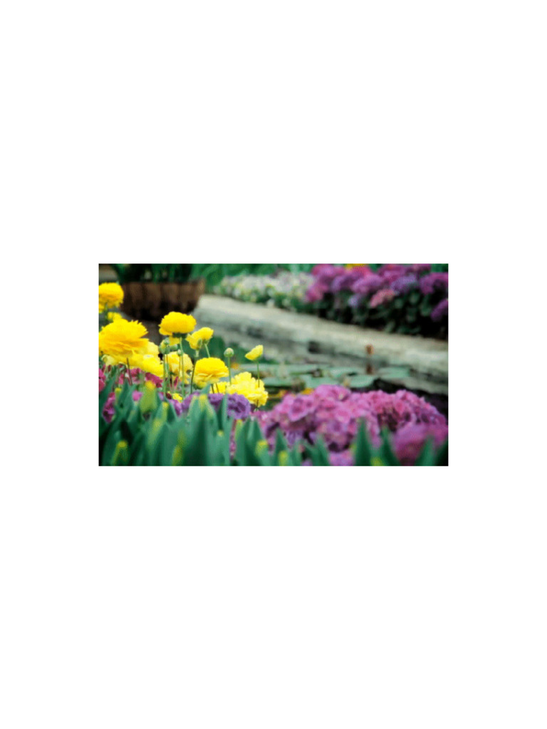 2020 Flowers | PDF
