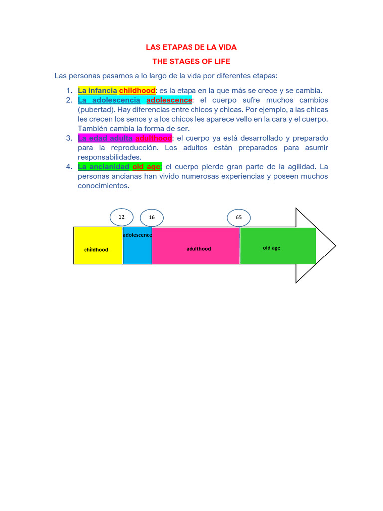 Las Etapas de La Vida | PDF