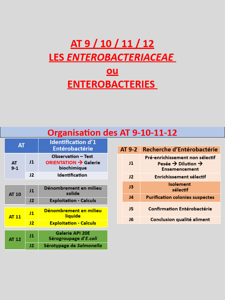 Identification des Entérobactéries | PDF | Escherichia coli | Bactérie