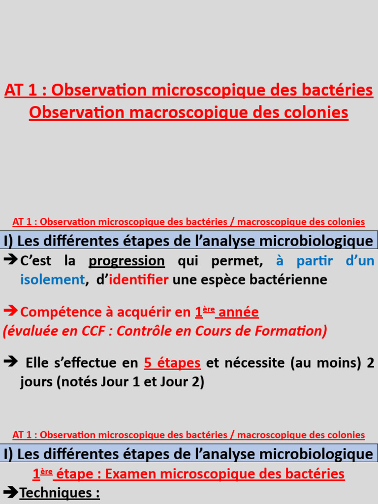 at 1 Observations Micro-Macro | PDF | Microbiologie | Bactérie