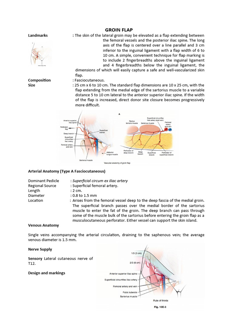 Groin Flap Puput - Twen | PDF | Anatomical Terms Of Location | Vein