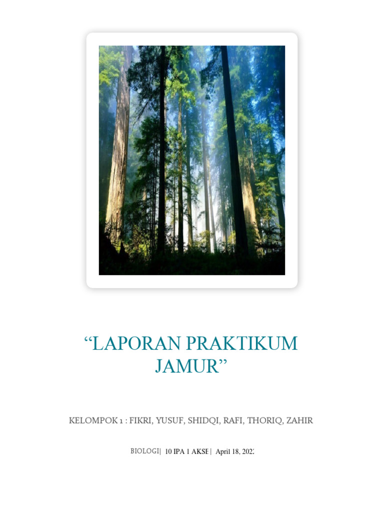 Laporan Praktikum Jamur | PDF