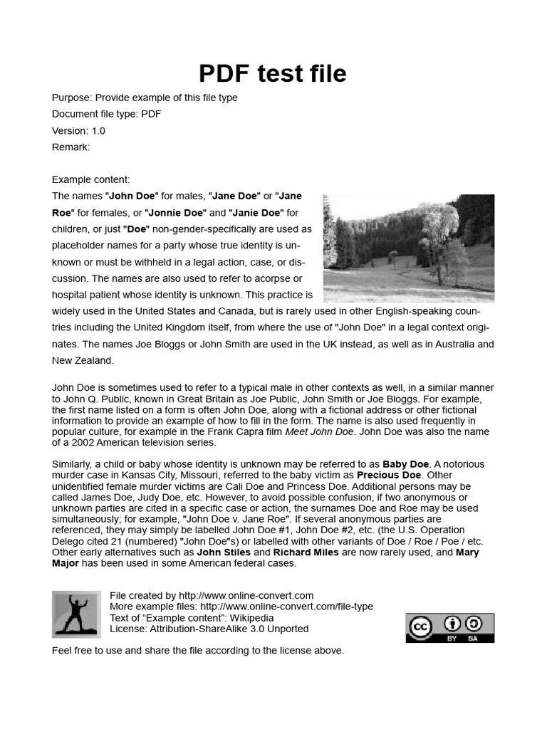 Example | PDF | John Doe