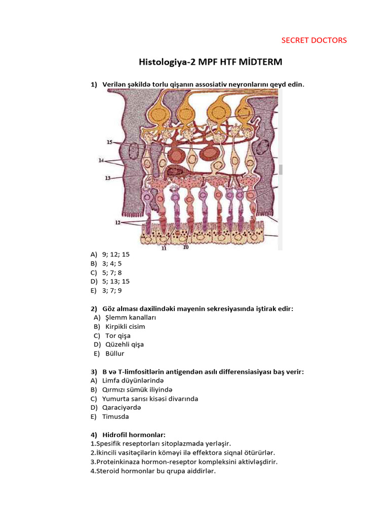 Histologiya-2 MPF, HTF Midterm (Cavabsız) | PDF