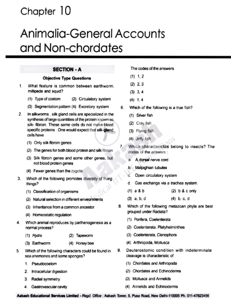 ANIMAL KINGDOM LEVEL 3 - | PDF | Invertebrate | Zoology