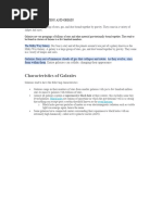 Astro 7N - Unit 4 - Review - Notes 1 1 | PDF | Galaxy | Quark