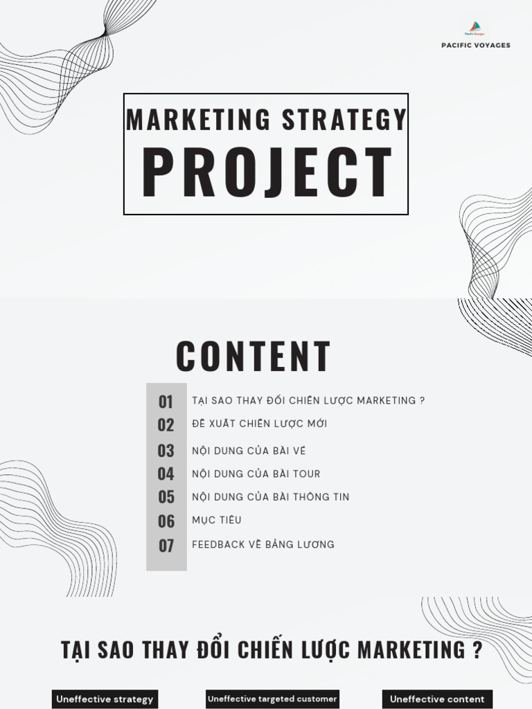 Marketing Strategy Project | PDF