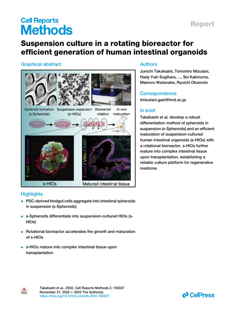 Suspension Culture in A Rotating Bioreactor For Efficient Generation of ...