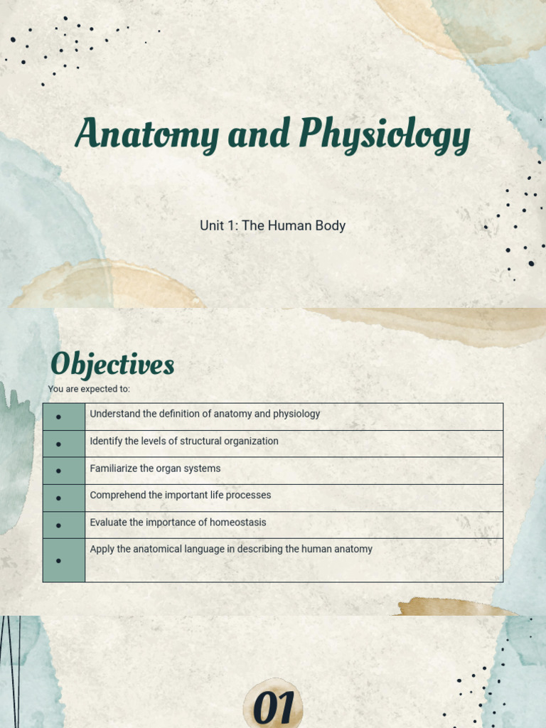 Anatomy and Physiology Unit 1 | PDF | Anatomical Terms Of Location ...
