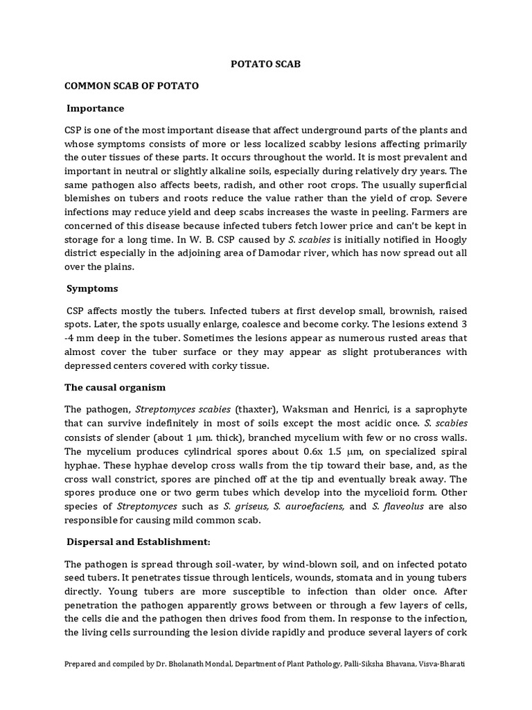 1. Common scab of potato - Final | Download Free PDF | Branches Of ...