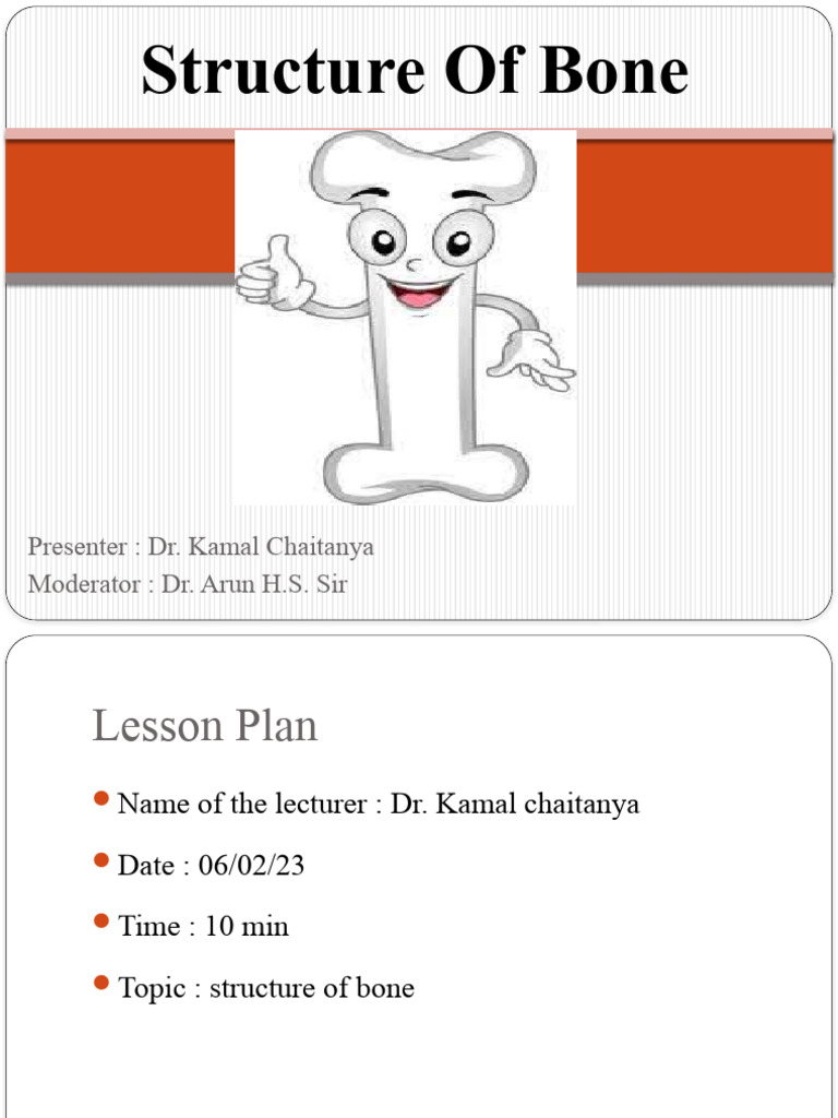 Structure of Bone | PDF | Bone | Tissue (Biology)