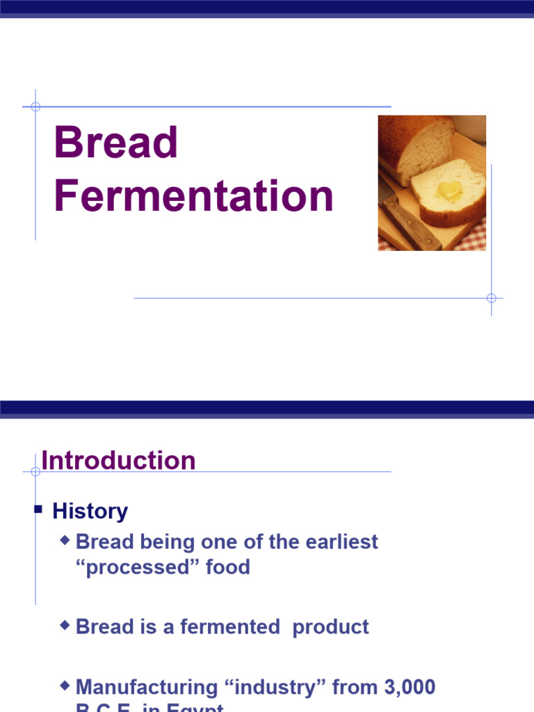 Bread Fermentation | PDF | Breads | Flour