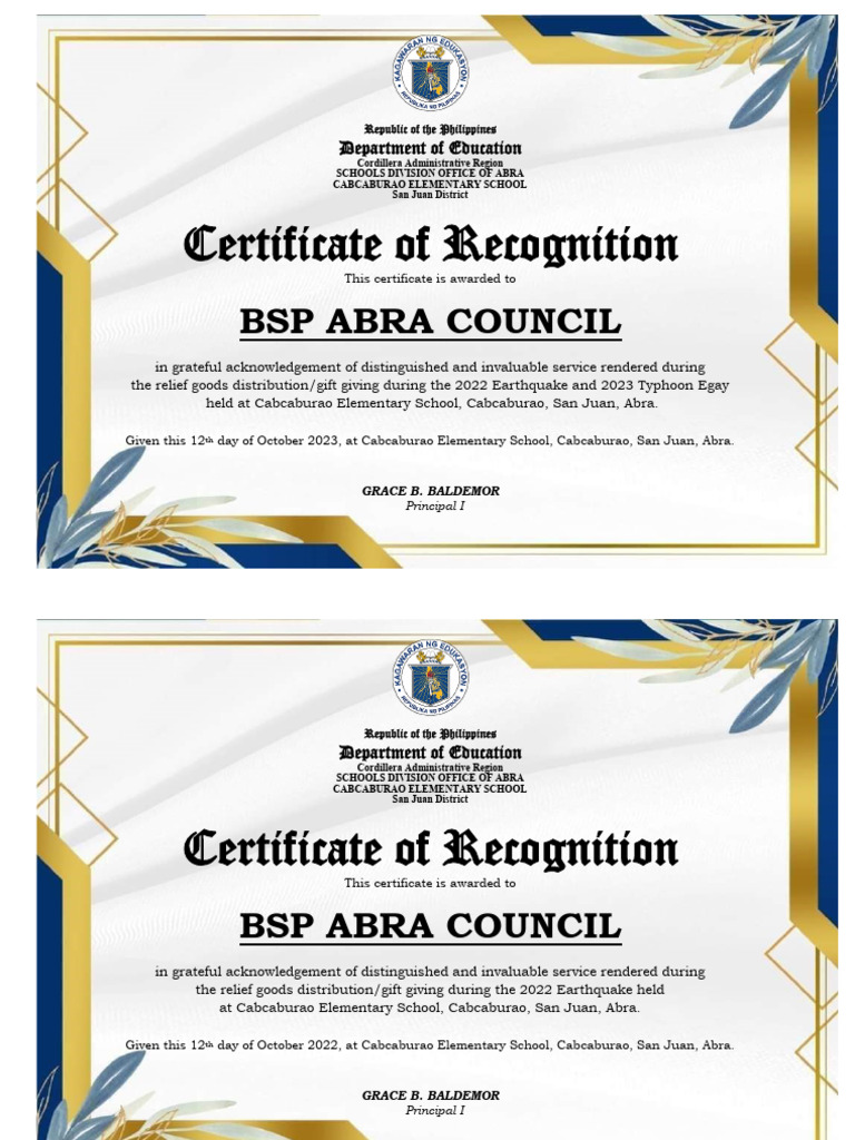 BSP Distribution of Relief Goods MOVs SDS | PDF | Philippines