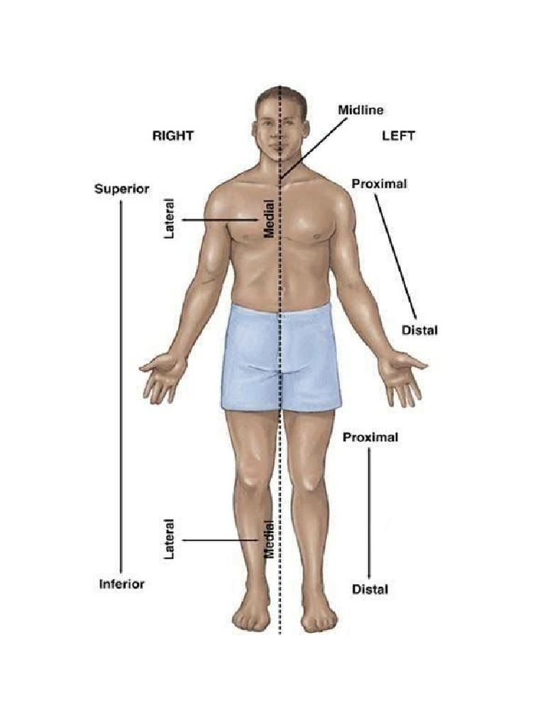 4 تجميعات EMT | PDF